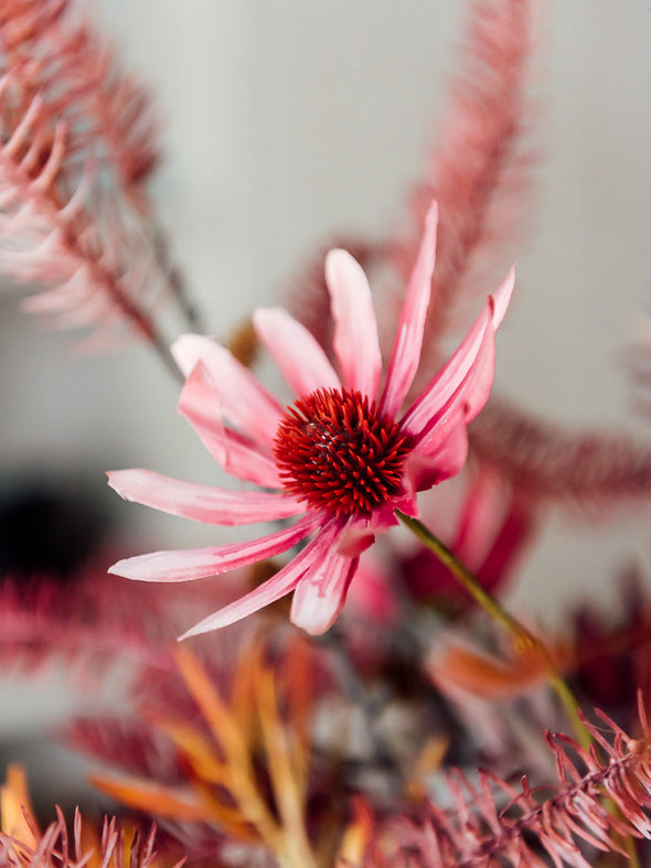 The joy of flowers and plants, without the hassle | Stays